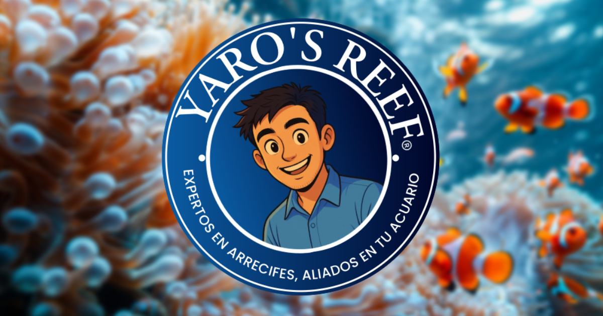 Yaro's Reef